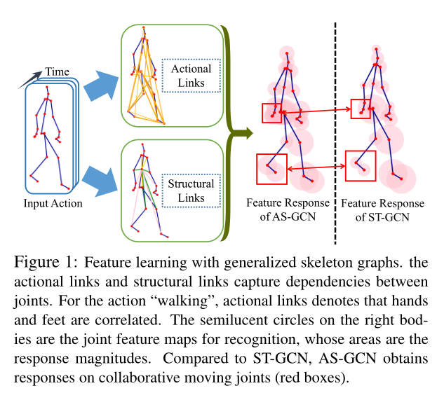 阅读笔记Actional-Structural Graph Convolutional Networks for Skeleton-based Action Recognition ...