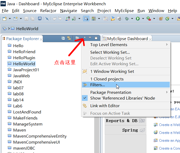 MyEclipse的Project项目很多，如何隐藏起来？_project怎么隐藏任务-CSDN博客