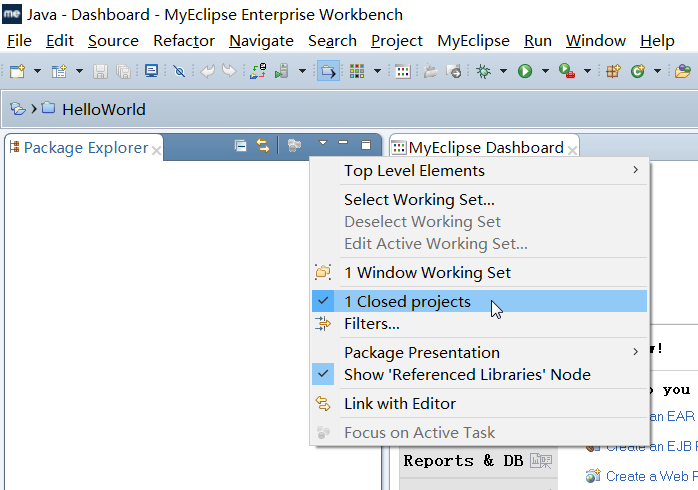 MyEclipse的Project项目很多，如何隐藏起来？_project怎么隐藏任务-CSDN博客
