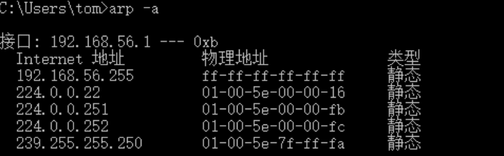 网络 之 IP地址&Mac地址与DNS，ARP，DHCP协议_ipconfig获取mac地址为什么要判断dns server-CSDN博客