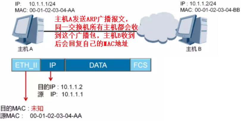 网络 之 IP地址&Mac地址与DNS，ARP，DHCP协议_ipconfig获取mac地址为什么要判断dns server-CSDN博客