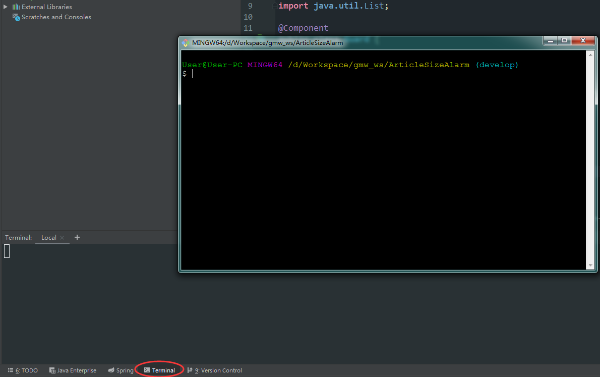 将IDEA中的终端（Terminal）由CMD修改为GitBash_替换idea使用的cmd为gitbash-CSDN博客