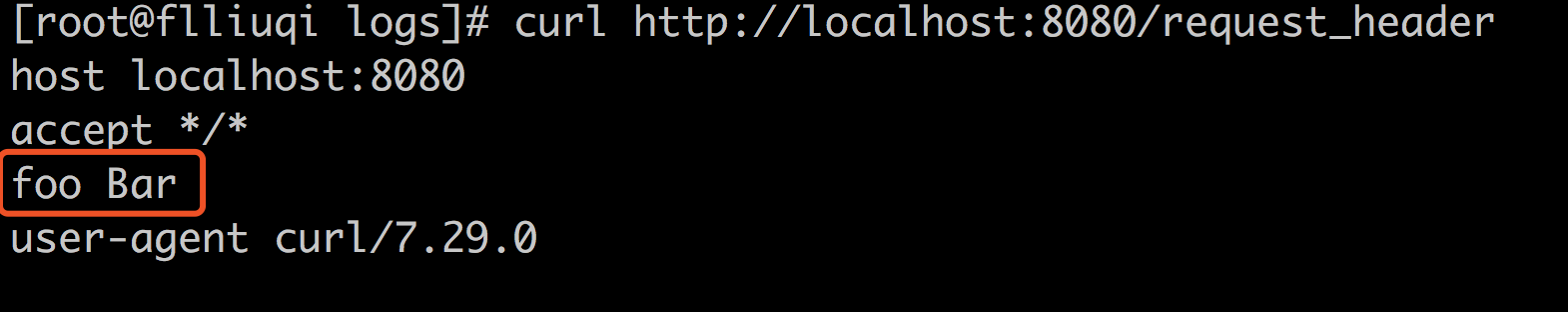 通过lua操作http请求头_nginx lua 设置请求头-CSDN博客