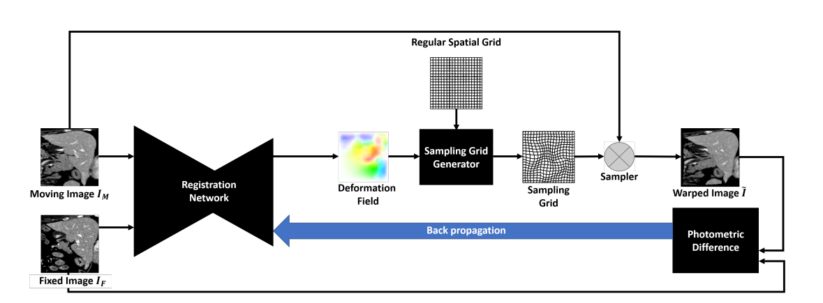 【开源计划】图像配准中变形操作（Warp）的pytorch实现_pytorch 特征图warp-CSDN博客