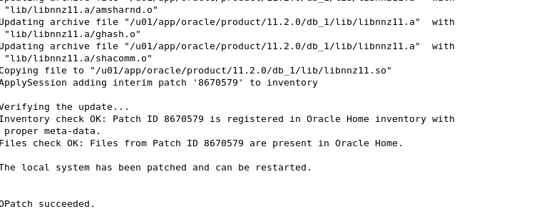 Oracle 11g 在AMD CPU 64位硬件，32位操作系统下的BUG_oraclelinux 7.9 支持cpu amd-CSDN博客