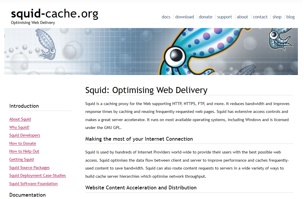 代理服务squid-----传统模式与透明模式_squid透明代理 什么意思-CSDN博客