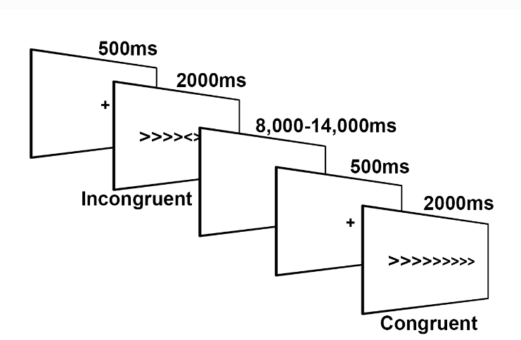 fMRI Tutorial:FSL处理功能核磁共振数据_flanker task matlab-CSDN博客