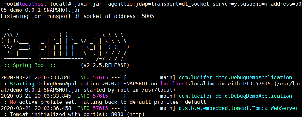 IntelliJ IDEA 远程调试_address=*:5005-CSDN博客