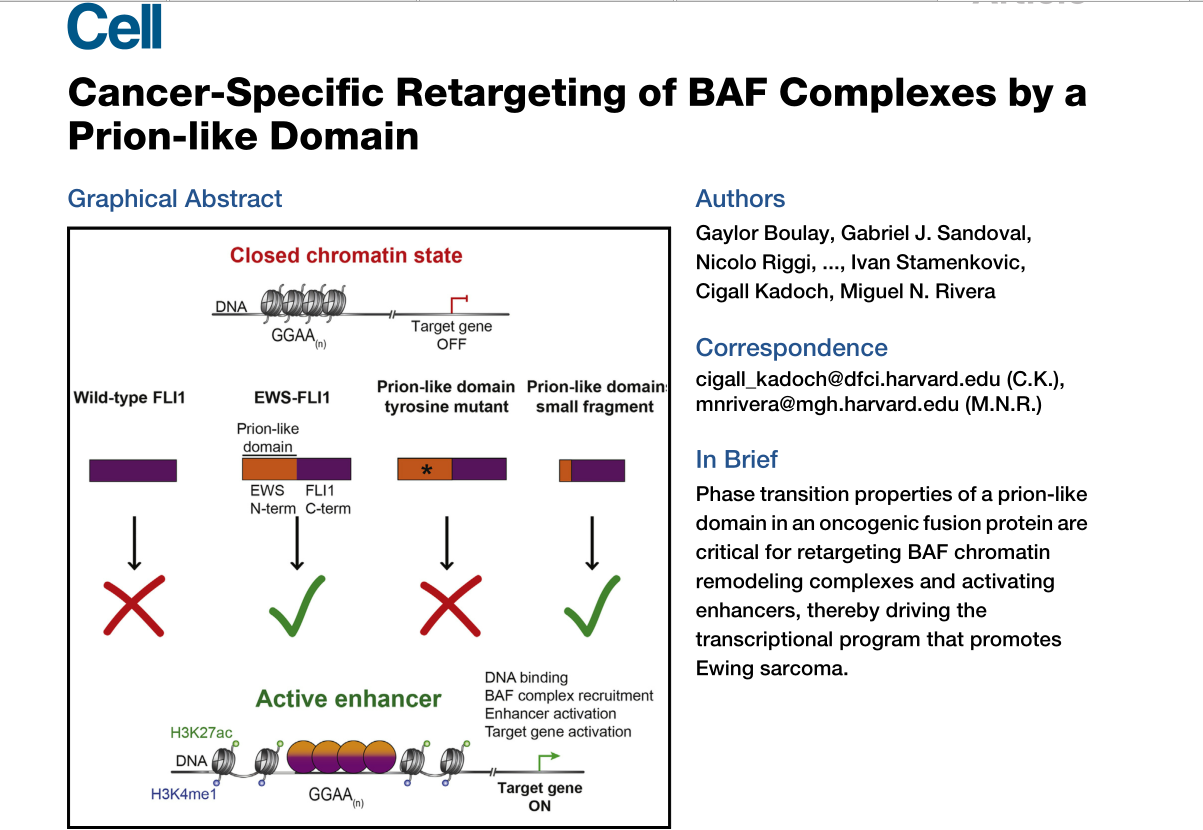 相分离相关文章阅读Cancer-Specific Retargeting of BAF Complexes by a Prion-like ...
