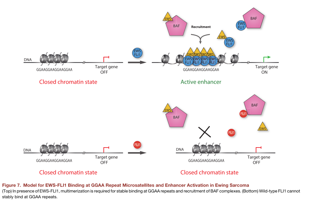 相分离相关文章阅读Cancer-Specific Retargeting of BAF Complexes by a Prion-like ...