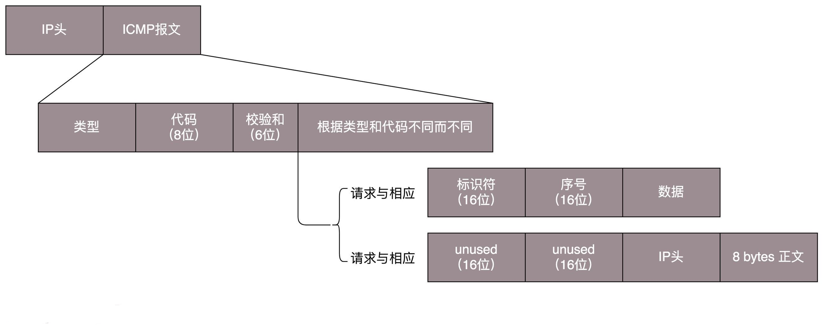 【计算机网络】ping 和 traceroute 到底有什么区别？深入浅出 ICMP 协议！_traceroute和ping的区别-CSDN博客