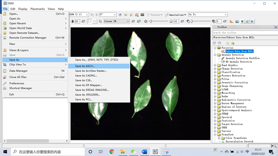 ENVI提取ROI区域步骤-CSDN博客