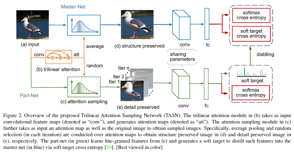 细粒度图像识别-CSDN博客