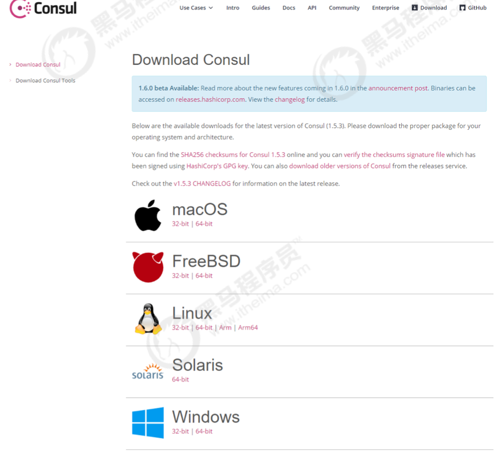 10、consul的下载与安装（本地、服务器）_consul linux下载-CSDN博客
