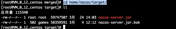 关于docker安装nacos1.2.0 连接mysql8.0.19 报错无法启动问题_docker启动nacos.jar报错_pomelo苦的博客-CSDN博客