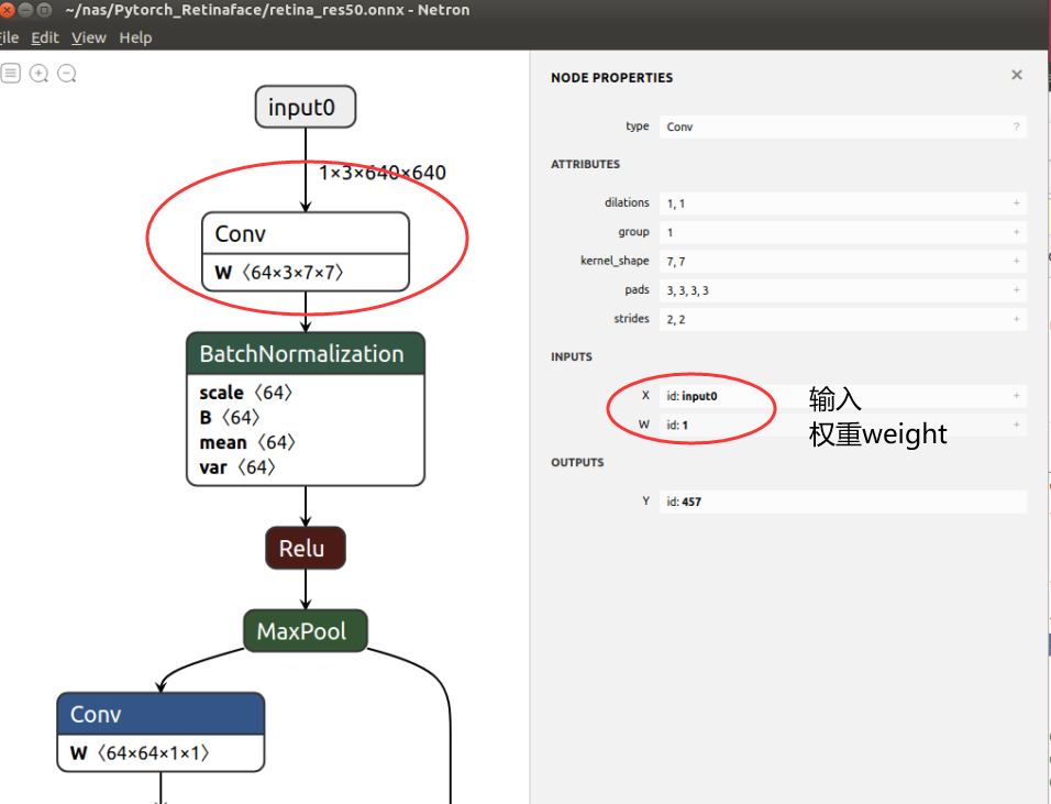 onnx ，模型 获取层名字，权重，输入输出,示例_获得 onnx input name-CSDN博客