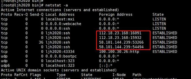 Linux中netstat有关命令参数用法及输出结果分析_netstat -nlp-CSDN博客