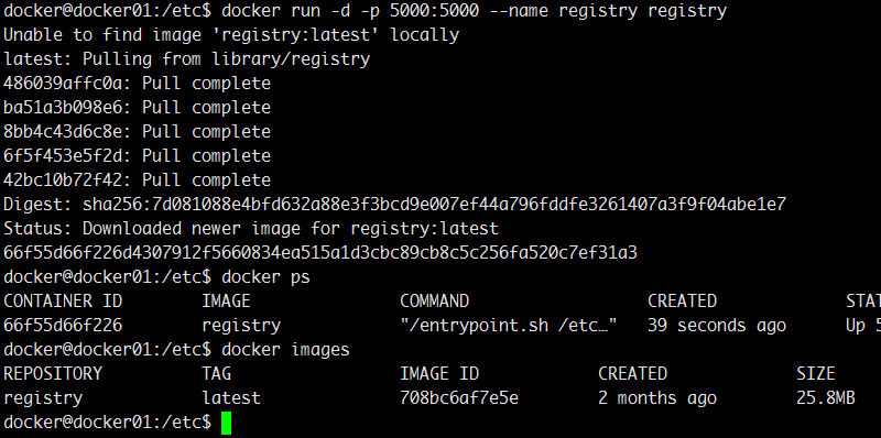 docker私有镜像服务搭建_docker 镜像服务器-CSDN博客