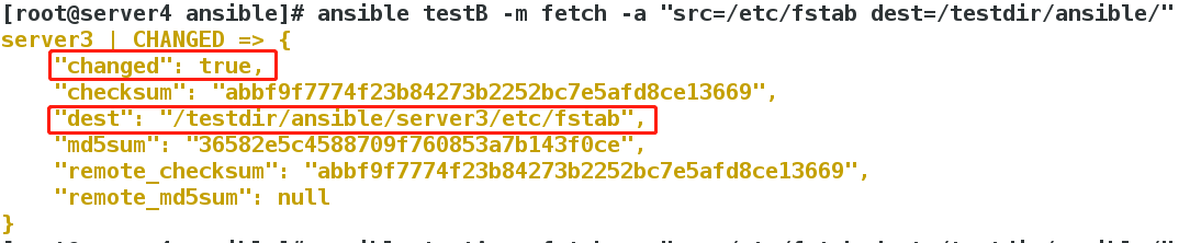 ansible查询模块命令以及fetch模块命令详解_ansible中的fetch-CSDN博客