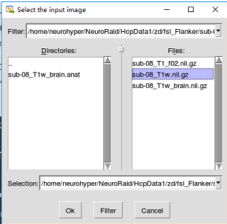 fMRI Tutorial:FSL处理功能核磁共振数据_flanker task matlab-CSDN博客