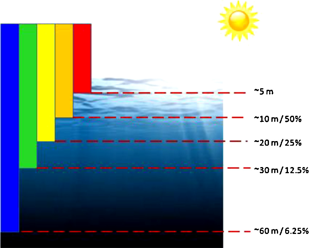 论文阅读:Underwater image quality enhancement through integrated color ...