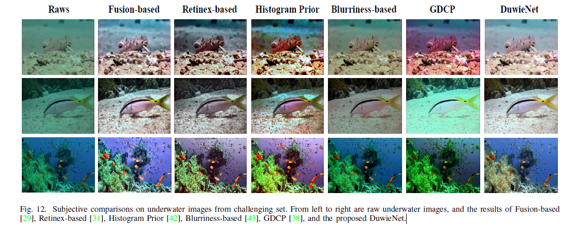 An Underwater Image Enhancement Benchmark Dataset and Beyond-CSDN博客