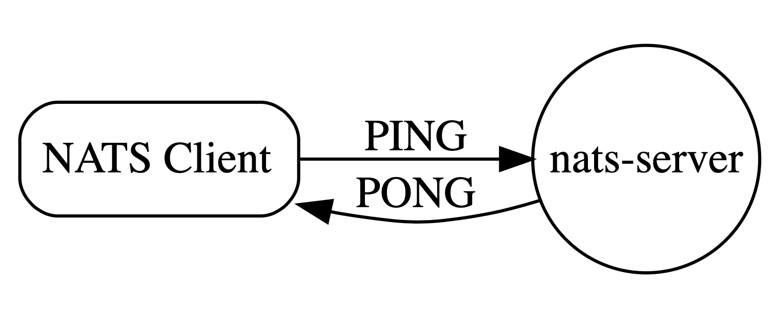 NATS中文开发文档：连接_nats.io-CSDN博客