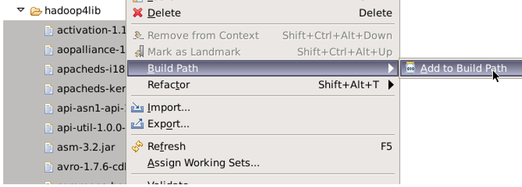 HDFS JAVA API(大章鱼版)_hdfs java api章鱼-CSDN博客