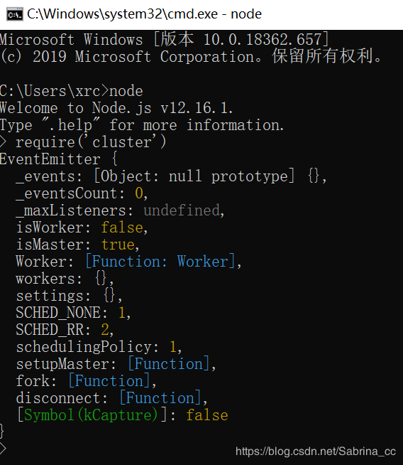 nodejs（12.16.1）安装及环境变量配置_node 12.16.1-CSDN博客