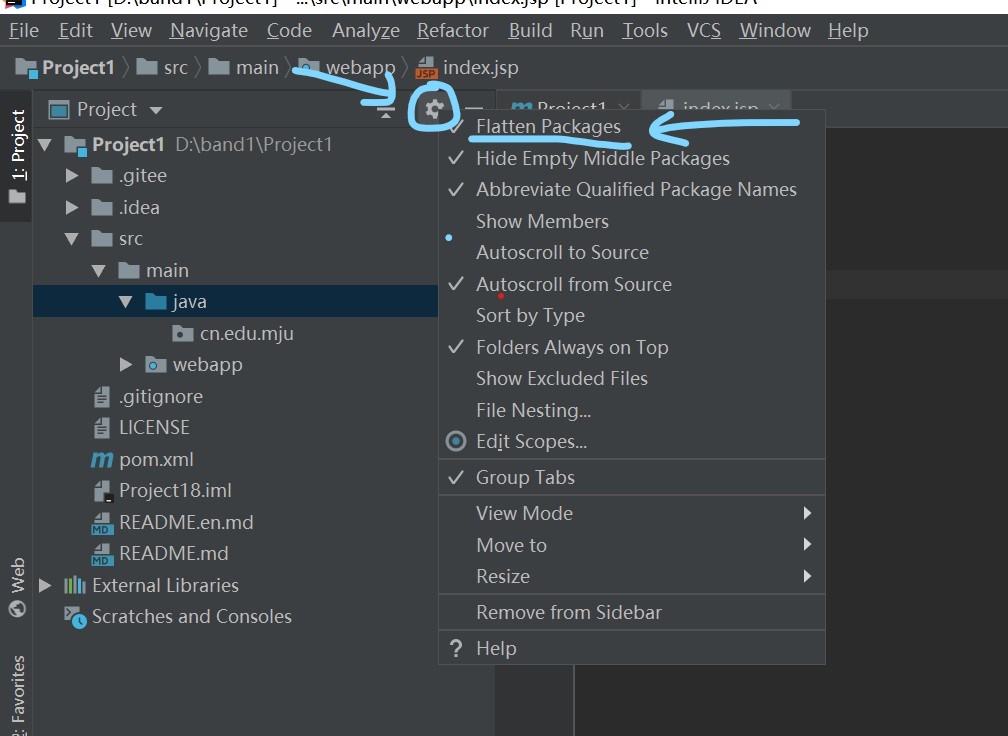 IntelliJ IDEA细节功能笔记一（平铺idea包）_idea设置包平铺-CSDN博客