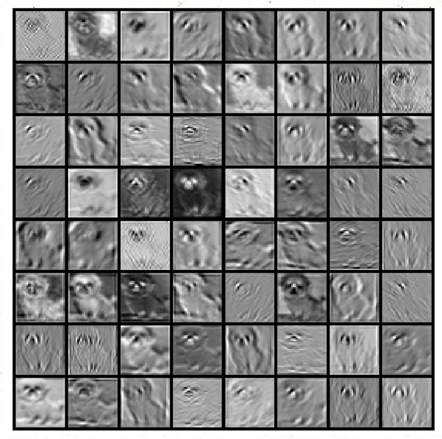 GhostNet 解读及代码实验（附代码、超参、日志和预训练模型）_goshtnet-CSDN博客