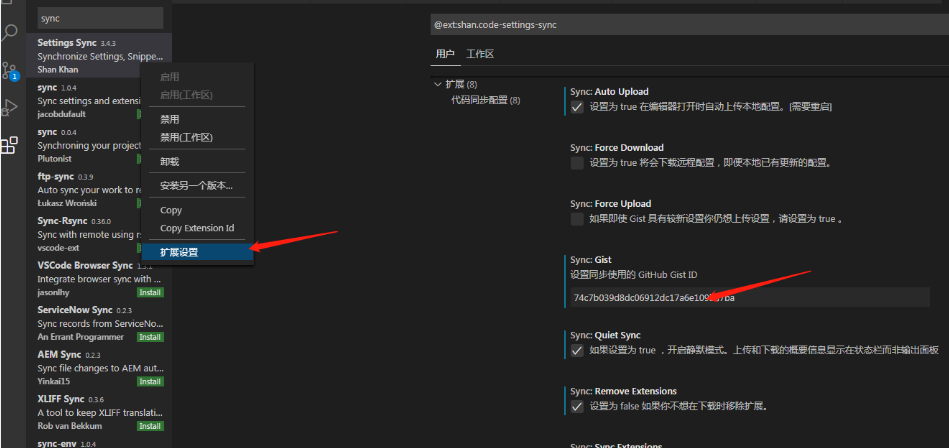 VSCode配置同步 插件Settings Sync用法，Sync: GitHub 令牌无效或已过期解决办法_visual studio code settings sync 已经弃用-CSDN博客
