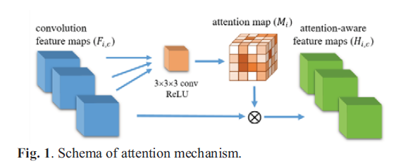 3D CNN for AD论文阅读（一）--Attention-based 3D Convolutional Network for ...