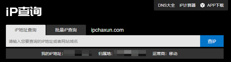 Windows如何获取公网IP地址（别再说用cmd->ipconfig）_windows 公网ip-CSDN博客