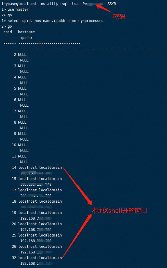 Sybase Ase 查询当前实例连接数 Sybase数据库实例数量怎么看 Csdn博客