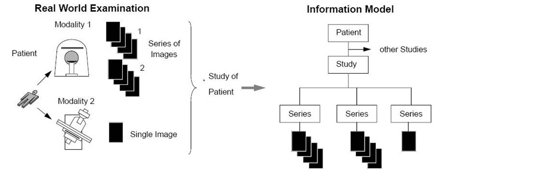 DICOM图像中Patient_ID，series_instance_id study_instance_id 区别_dicom study ...