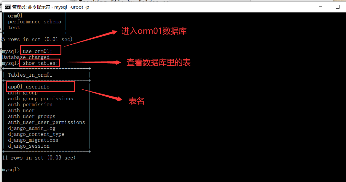 ORM简单使用_orm贴图-CSDN博客