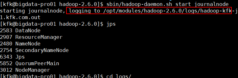 第一次启动journalnode，没有启动成功_启动不了journalnode-CSDN博客