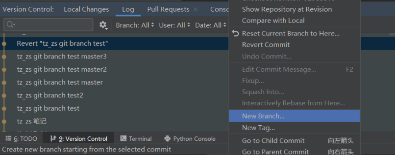 【pycharm】 git 版本管理 branches 和 tag 的使用_pycharm git tag-CSDN博客