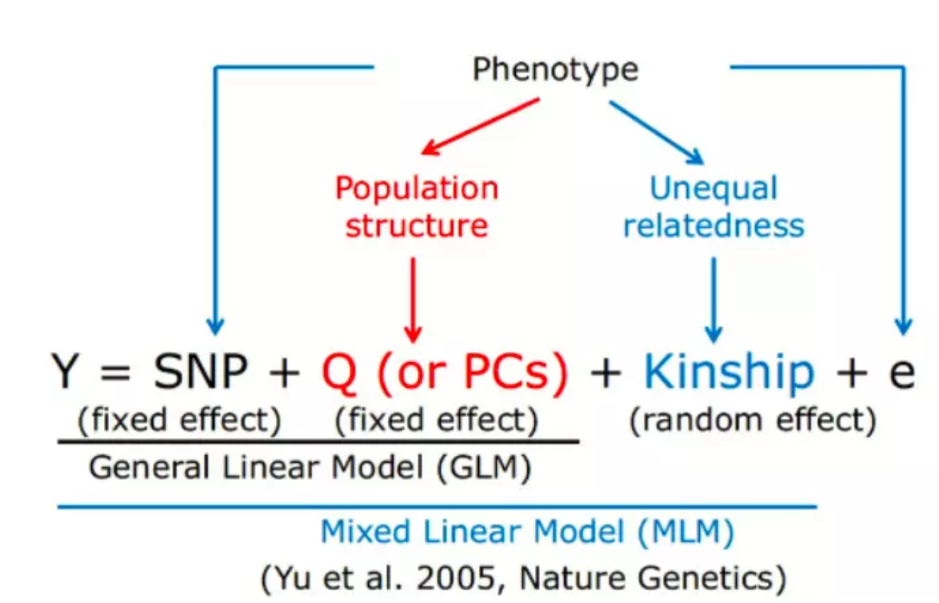 笔记 | GWAS 操作流程1：下载数据_gwas central怎么用-CSDN博客
