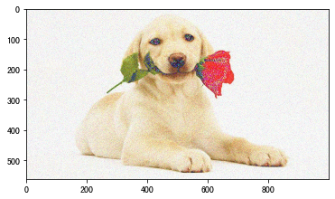 Suavizado de imagen OpenCV: ruido de sal y pimienta, ruido gaussiano ...