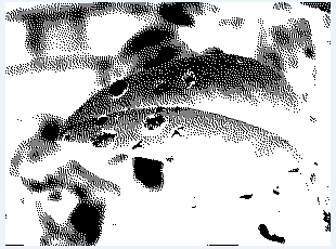 TGA文件格式解析_tga文件解析-CSDN博客