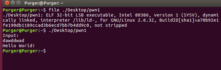 CTFPWN的一些题型（持续更新......）_x64 ctf pwn puts() gets()-CSDN博客