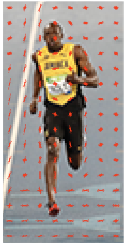 OpenCV：LBP和HOG特征算子_cv2.lbp-CSDN博客