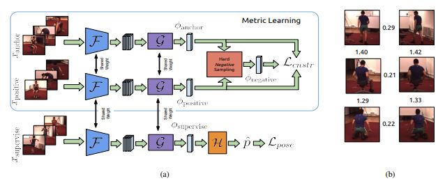 3D human pose 重要论文分类（持续更新）_multi-person human pose estimation in complex scen-CSDN博客