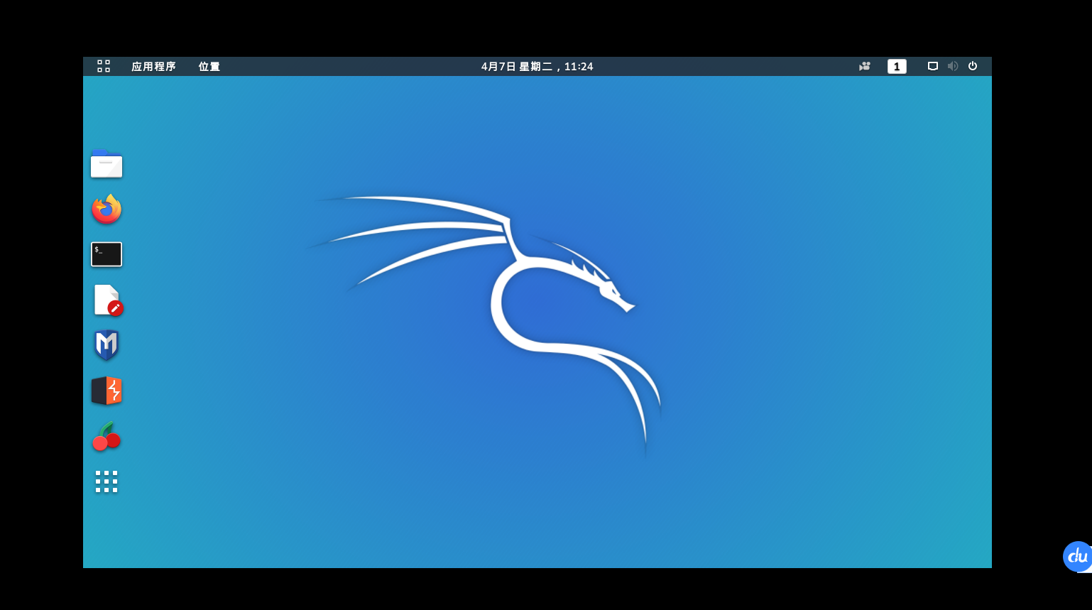 kali Linux 2020.1B详细安装教程（包含解决无图形化界面和安装软件选择失败）_手机安装kali桌面版-CSDN博客