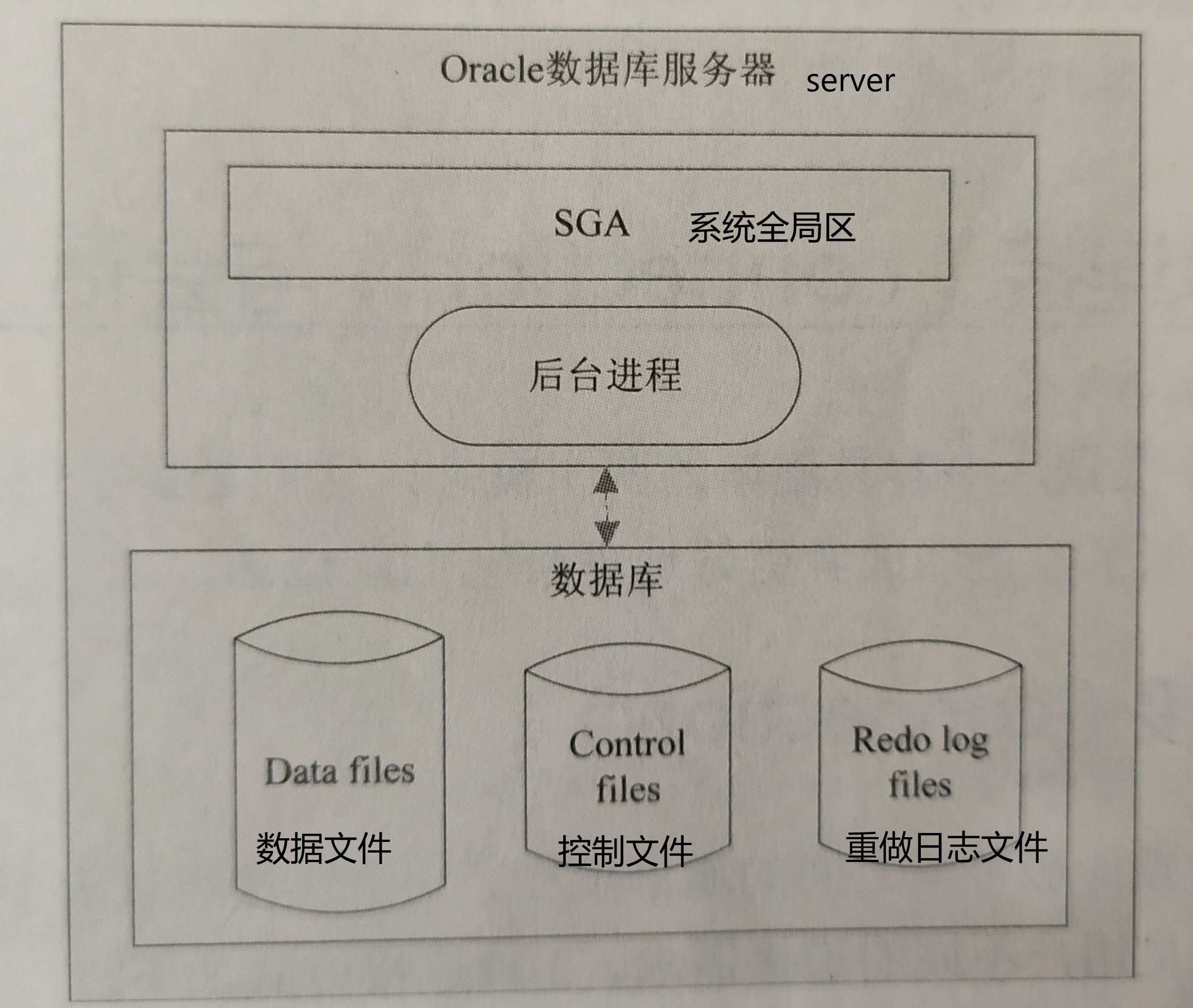 oracle数据库体系结构_orcale数据库实例包含sga和一系列后台管理和监视进程-CSDN博客