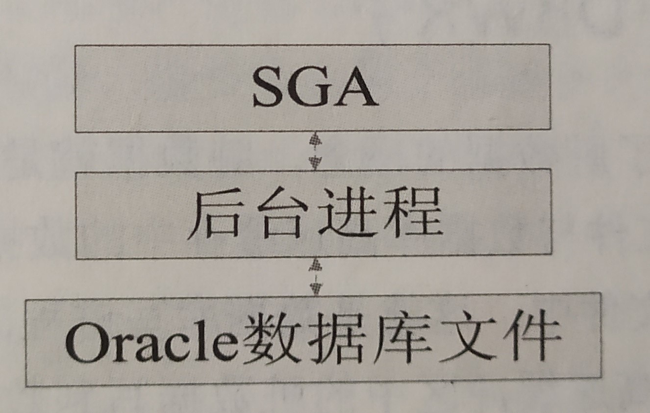 oracle数据库体系结构_orcale数据库实例包含sga和一系列后台管理和监视进程-CSDN博客