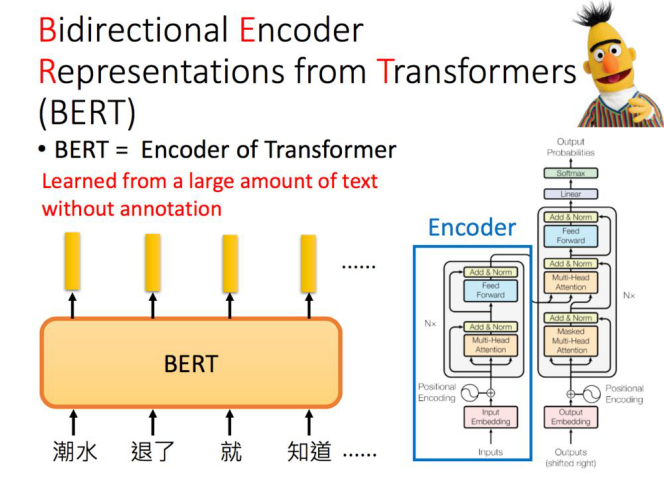 BERT模型结构，预训练，应用_bert预训练模型下游应用-CSDN博客