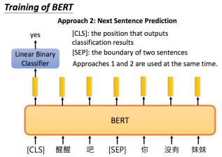 BERT模型结构，预训练，应用_bert预训练模型下游应用-CSDN博客